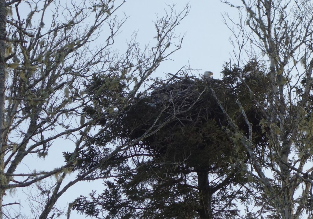 A Precarious Life – Tynan.com